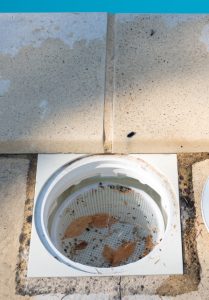 Everything You Need To Know About Pool Skimmers - Barrier Reef Pools