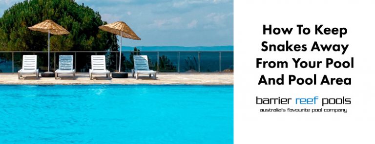 How To Keep Snakes Away From Your Pool And Pool Area - Barrier Reef Pools